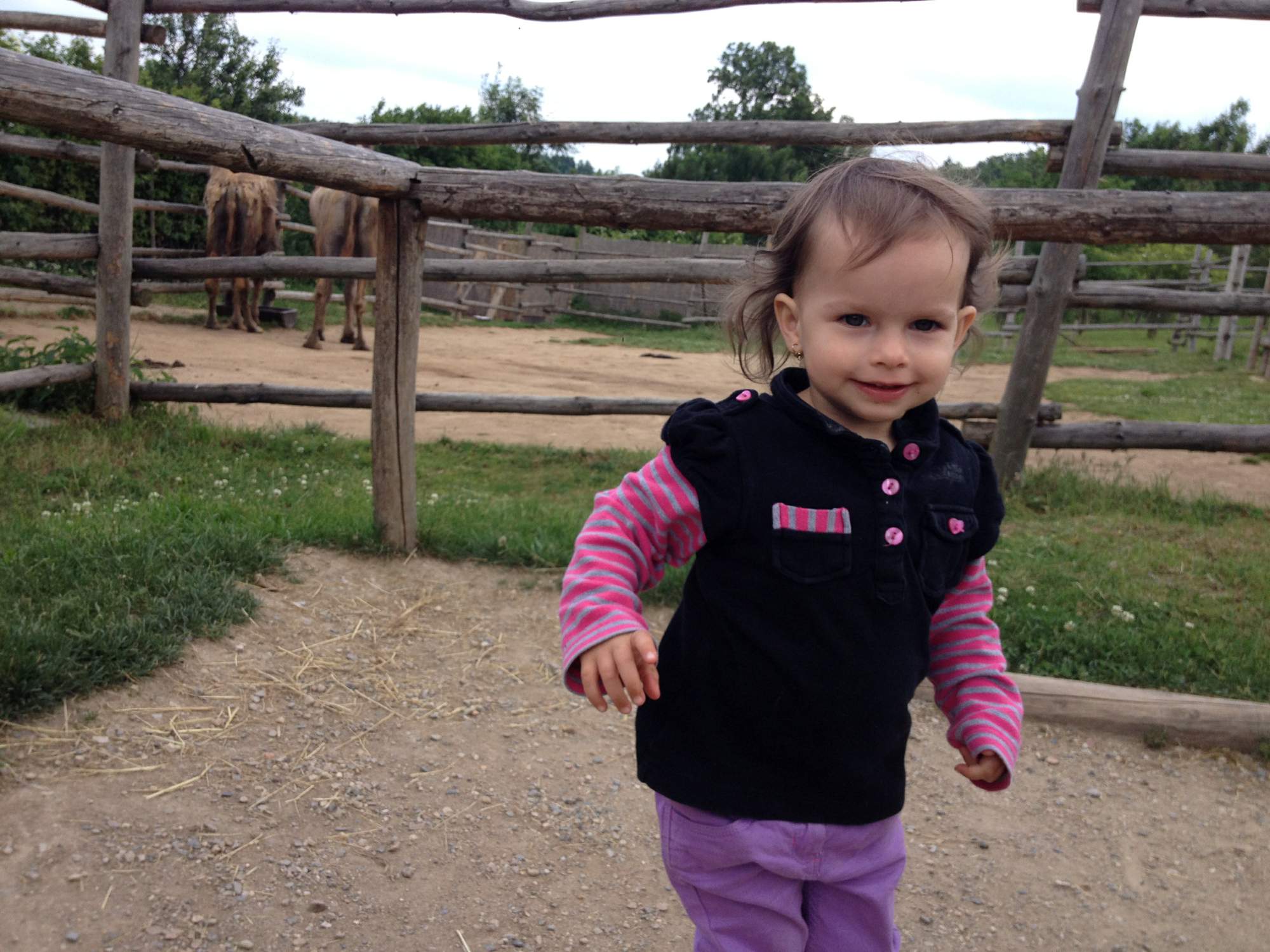 Červen 2015 – marekalenka – album na Rajčeti